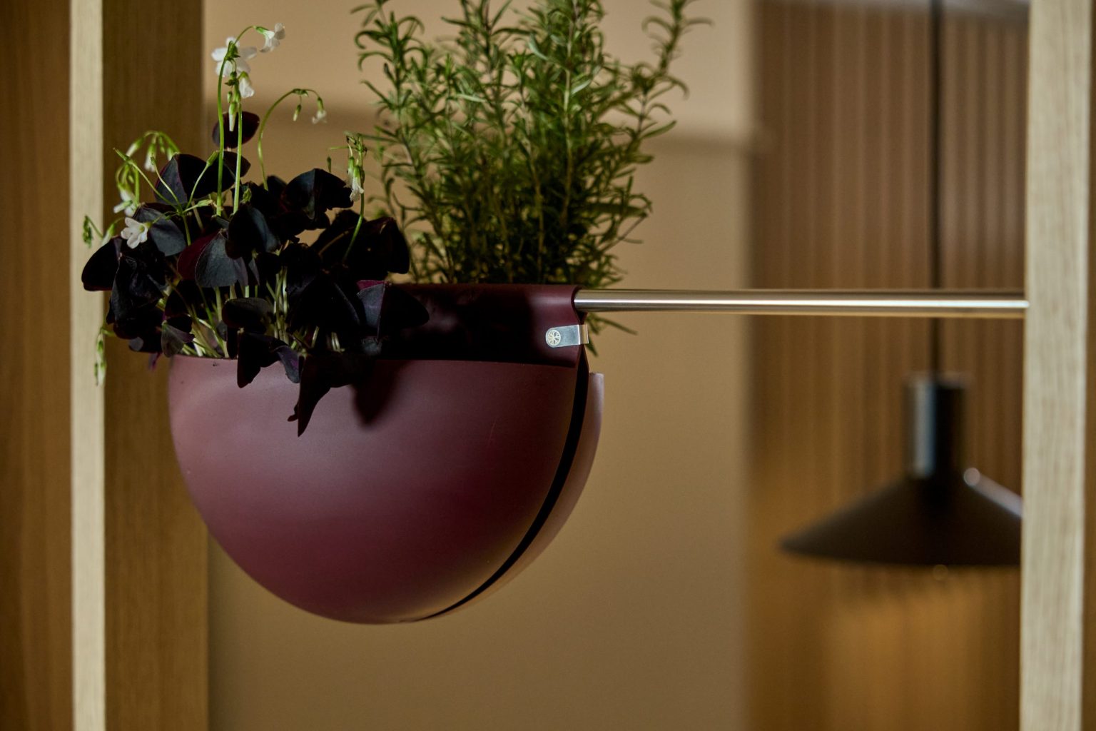 EMBRACE | Vigg Felt Box - WoodUpp South Africa